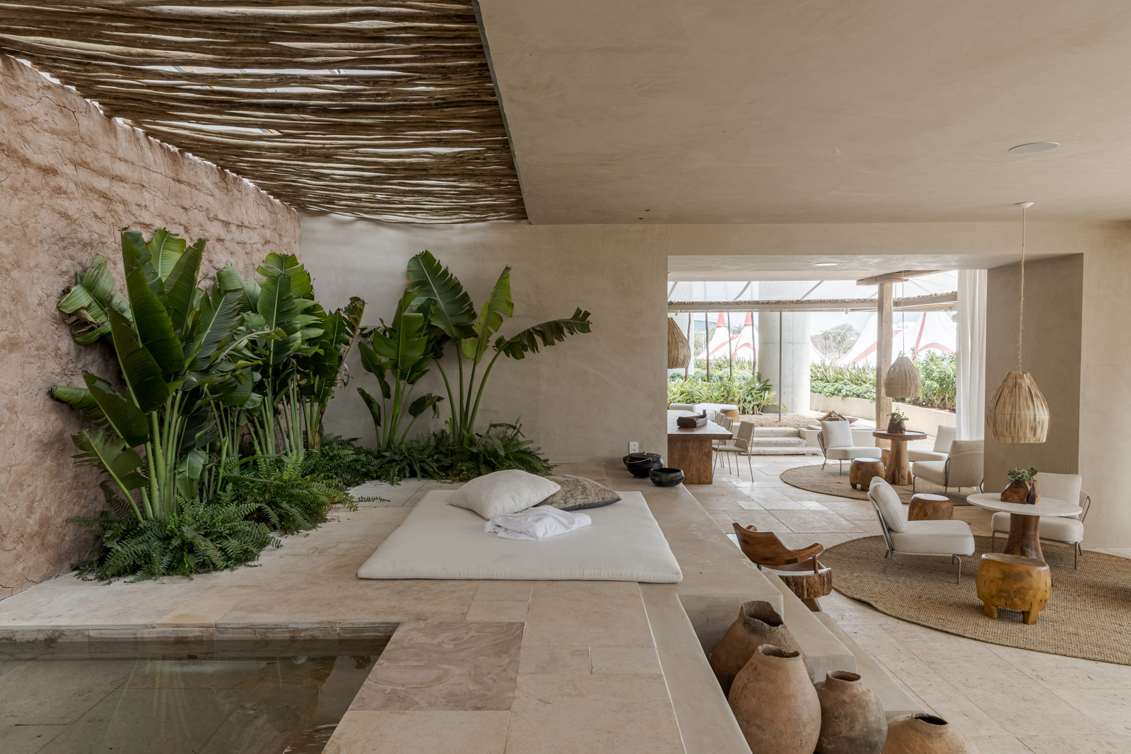 CASACOR Plantas em casa | Tintas Coral