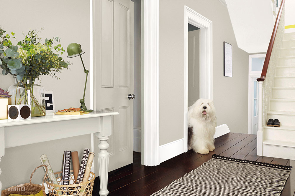 Get Colour Delivered To Your Door | Interior and Exterior Colour Paints ...
