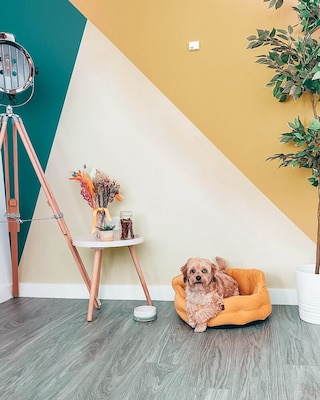 Paint Ideas – Wall Painting Ideas and Easy Painting | Dulux Malaysia