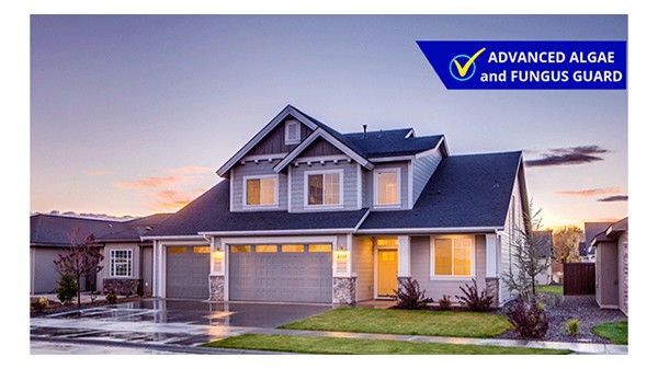 Dulux WS Powerflexx_LandingPage | Dulux Malaysia