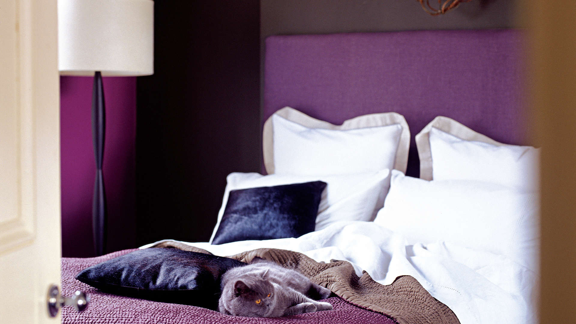 Fioletowa sypialnia – dla romantyka i pragmatyka | Dulux